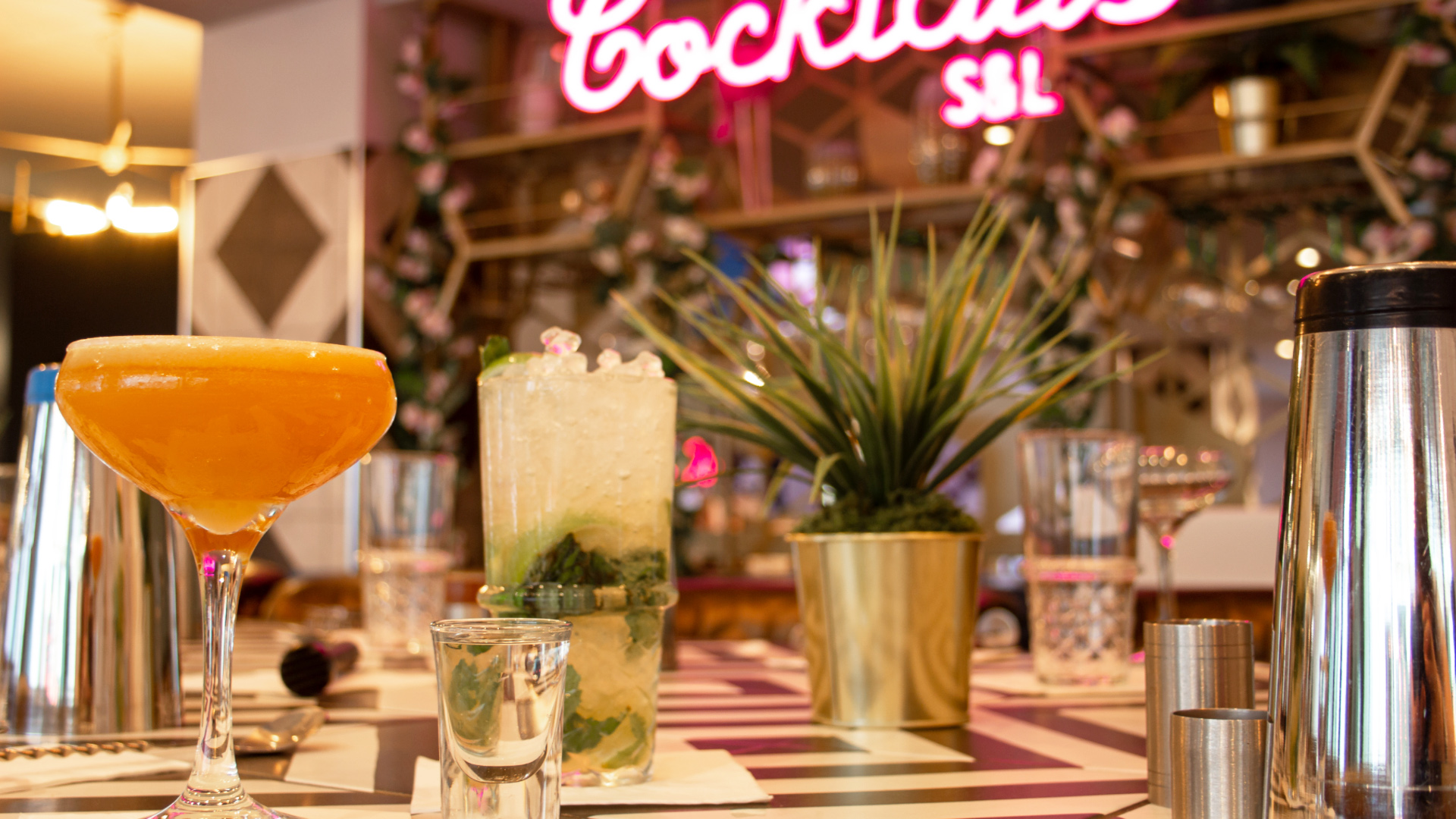 The Orange Tree Derby - Love Derby